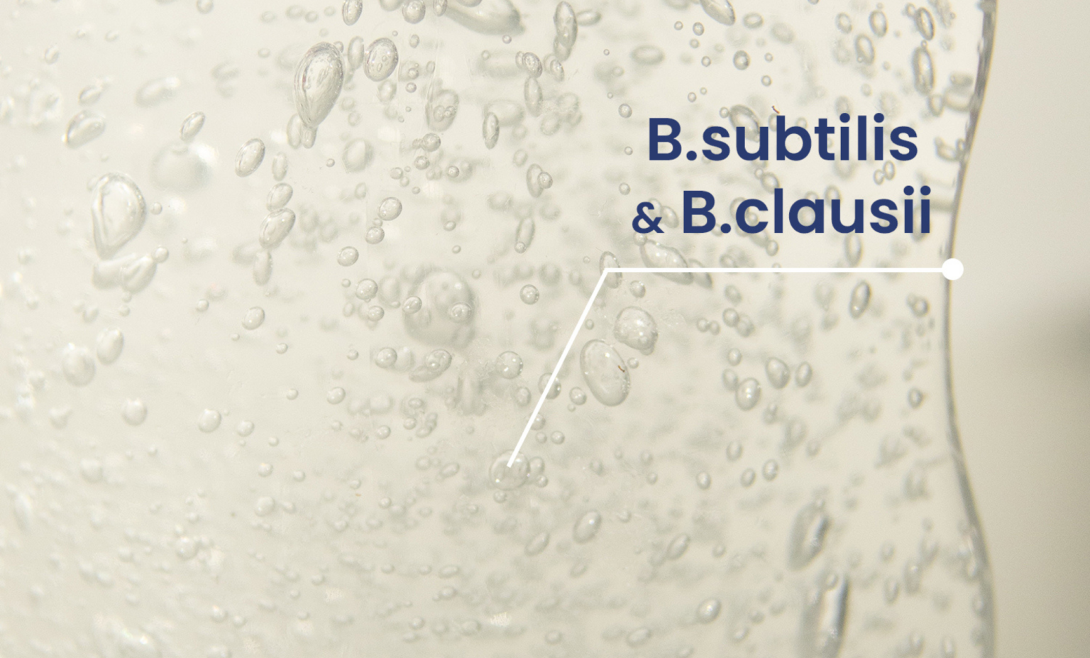 The World's First Nasal Probiotic Spray Form at The BIO 2023